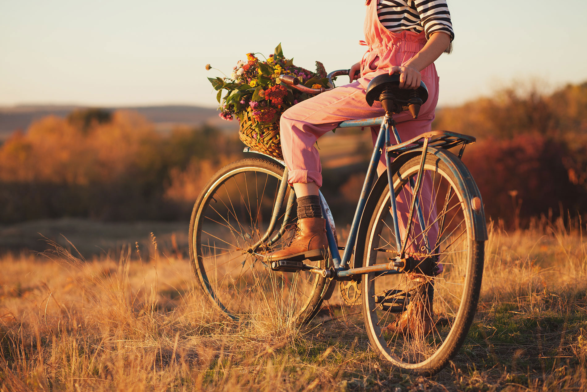 Circuits touristiques en Haute-Provence | La Route Des Saveurs Et Des ...